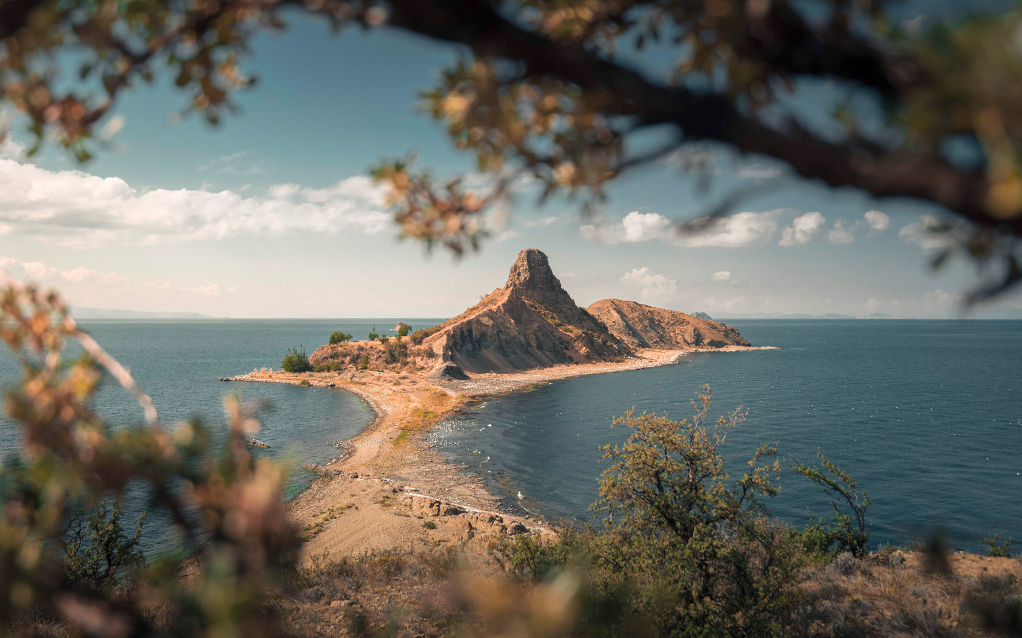 Alpha Universe | Notas