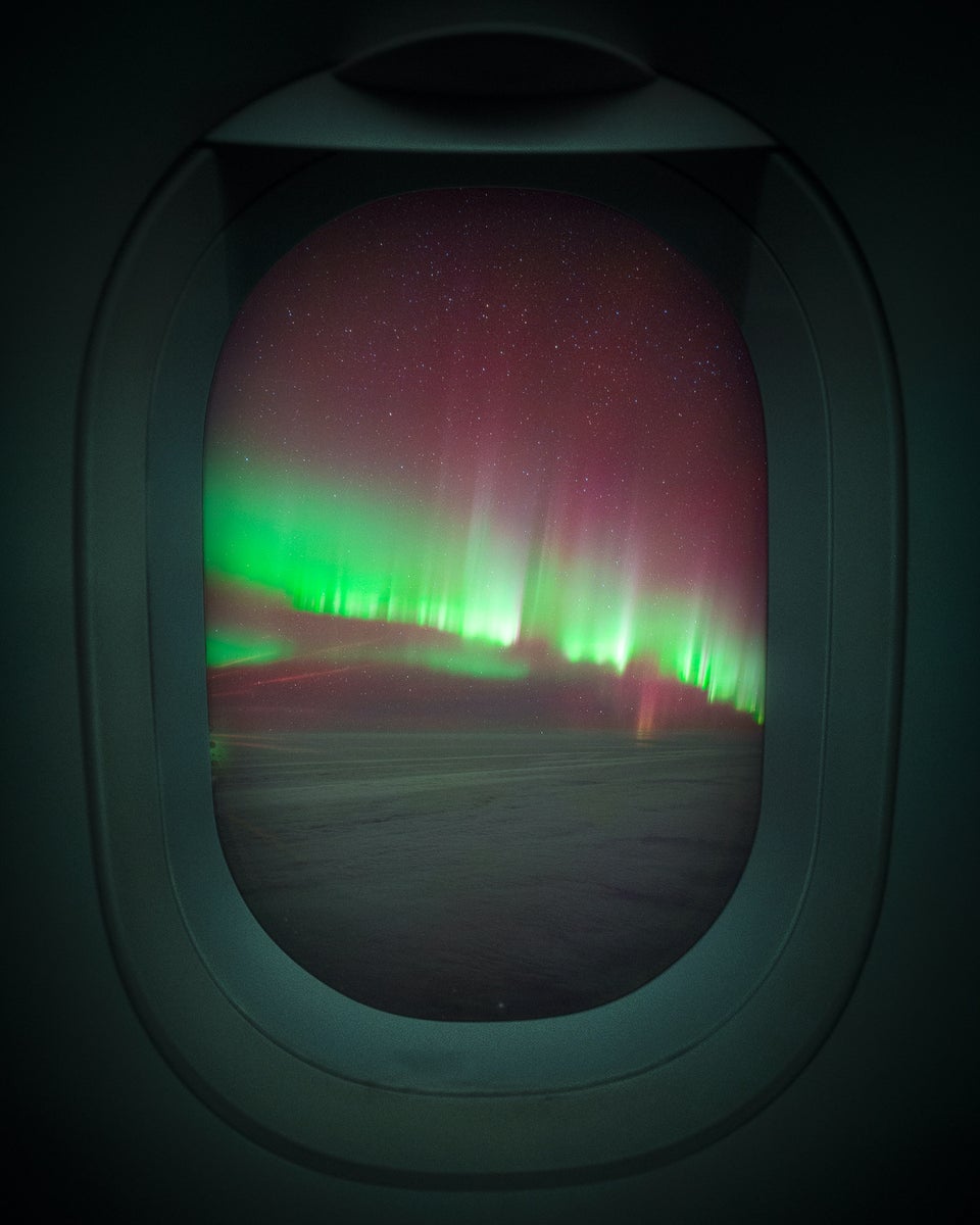 Alpha Universe | Notas