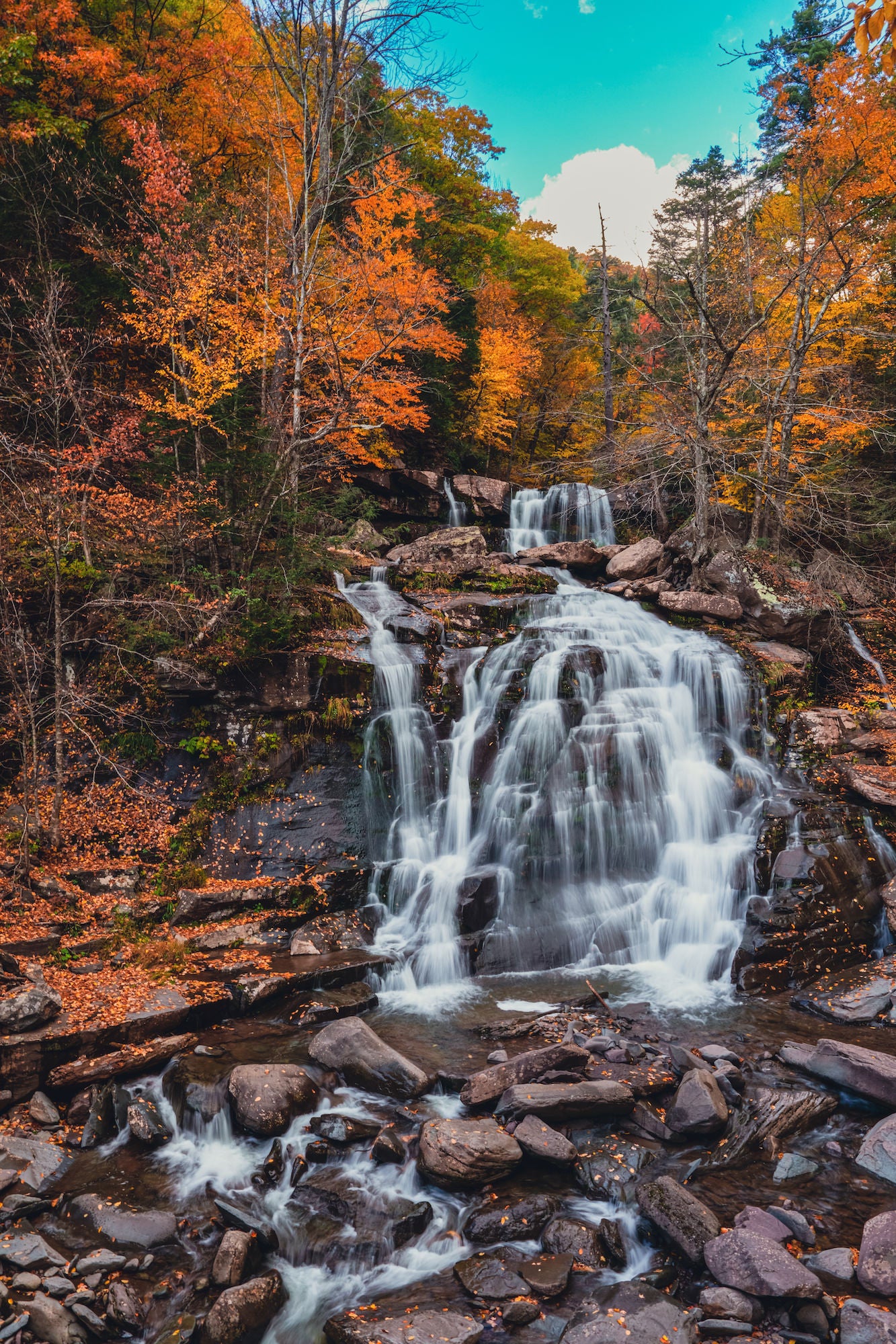 nueva-sony-alpha-7r-v-primeras-tomas-de-los-expertos