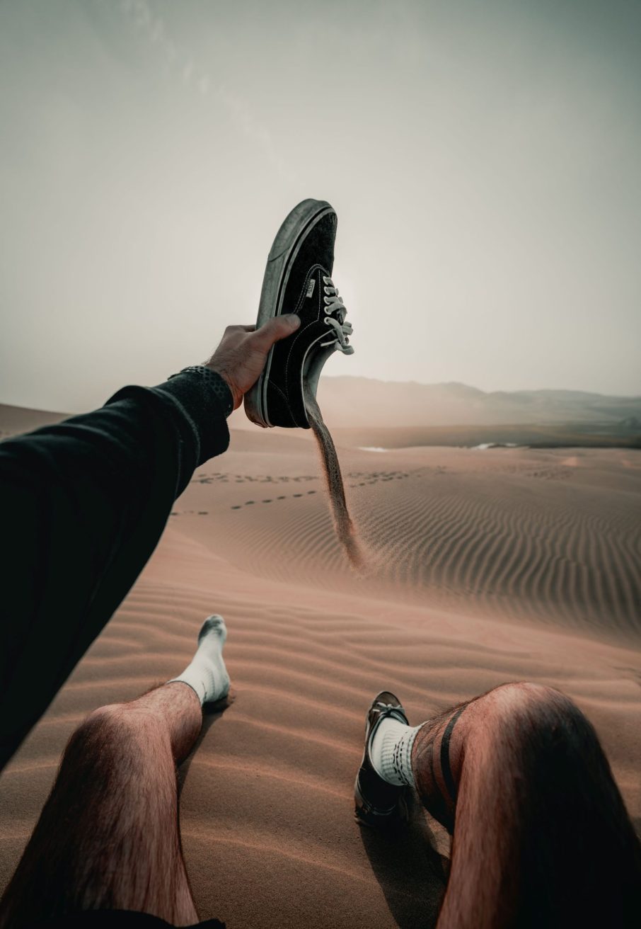 Sebastián León Prado | Rabbit