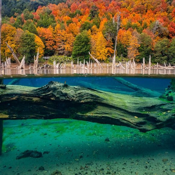 ¿Qué es la fotografía acuática?