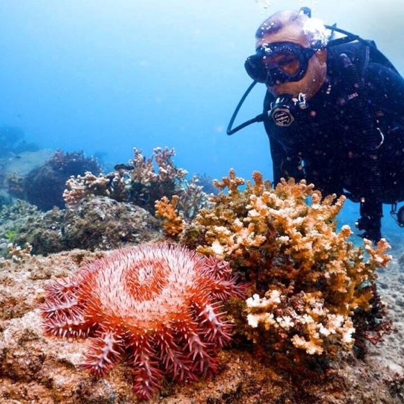 Alpha Universe | Notas