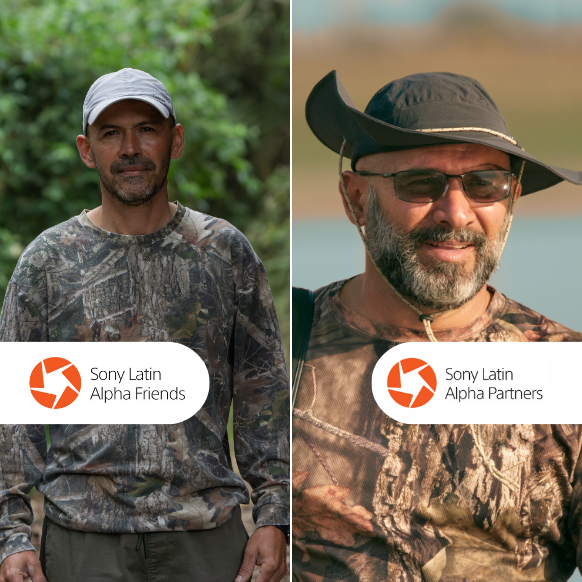 Alpha Universe | Eventos