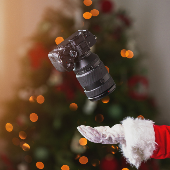 Alpha Universe | Notas