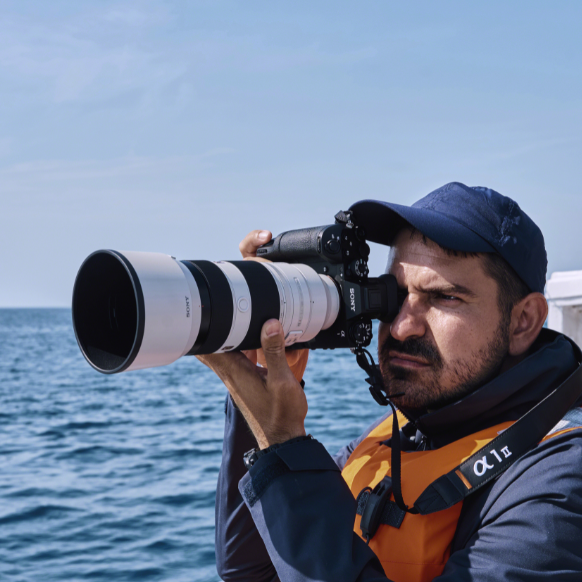 Alpha Universe | Notas