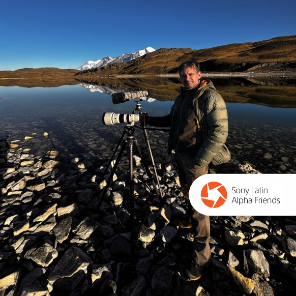 Alpha Universe | Eventos