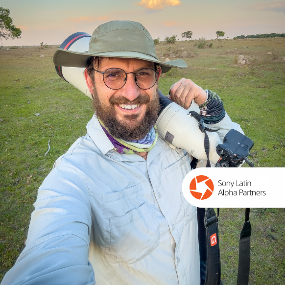 Alpha Universe | Eventos