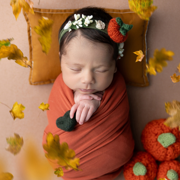 Alpha Universe | Eventos